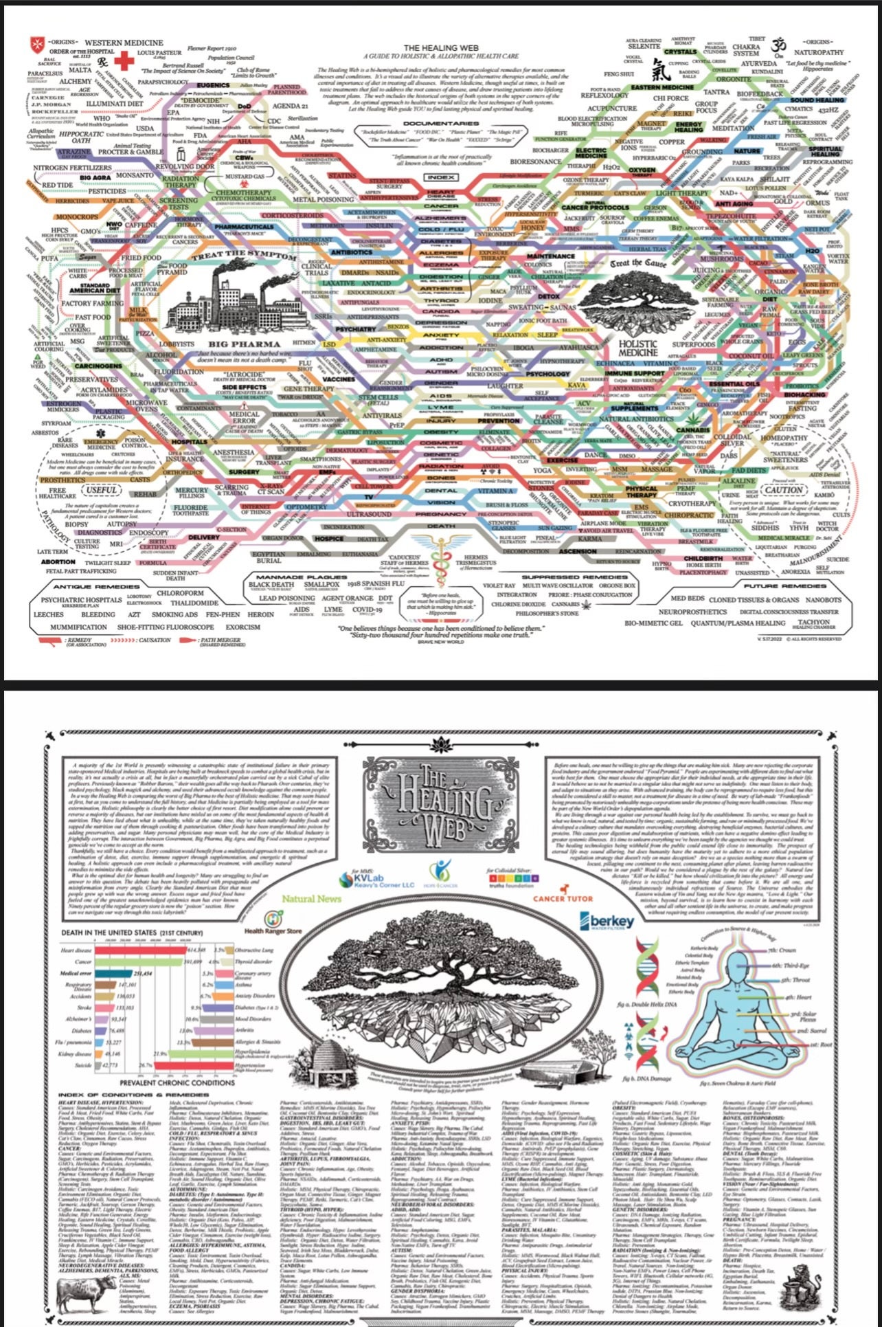 The Healing Web Chart (worldwide) 2 Page Digital Printable - Etsy