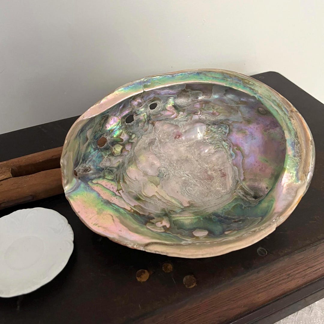 Red Abalone Shell, Vintage 1950's Large Natural Seashell 8 X 6.25 ...