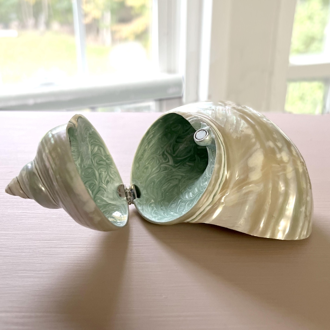 Vintage Shell Jewelry Box, Pearlized Gold Mouth Turbo Seashell, Secret ...