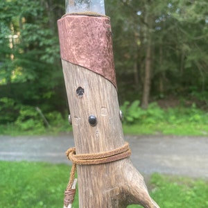 Beaver Walking Stick With Crystal - Etsy