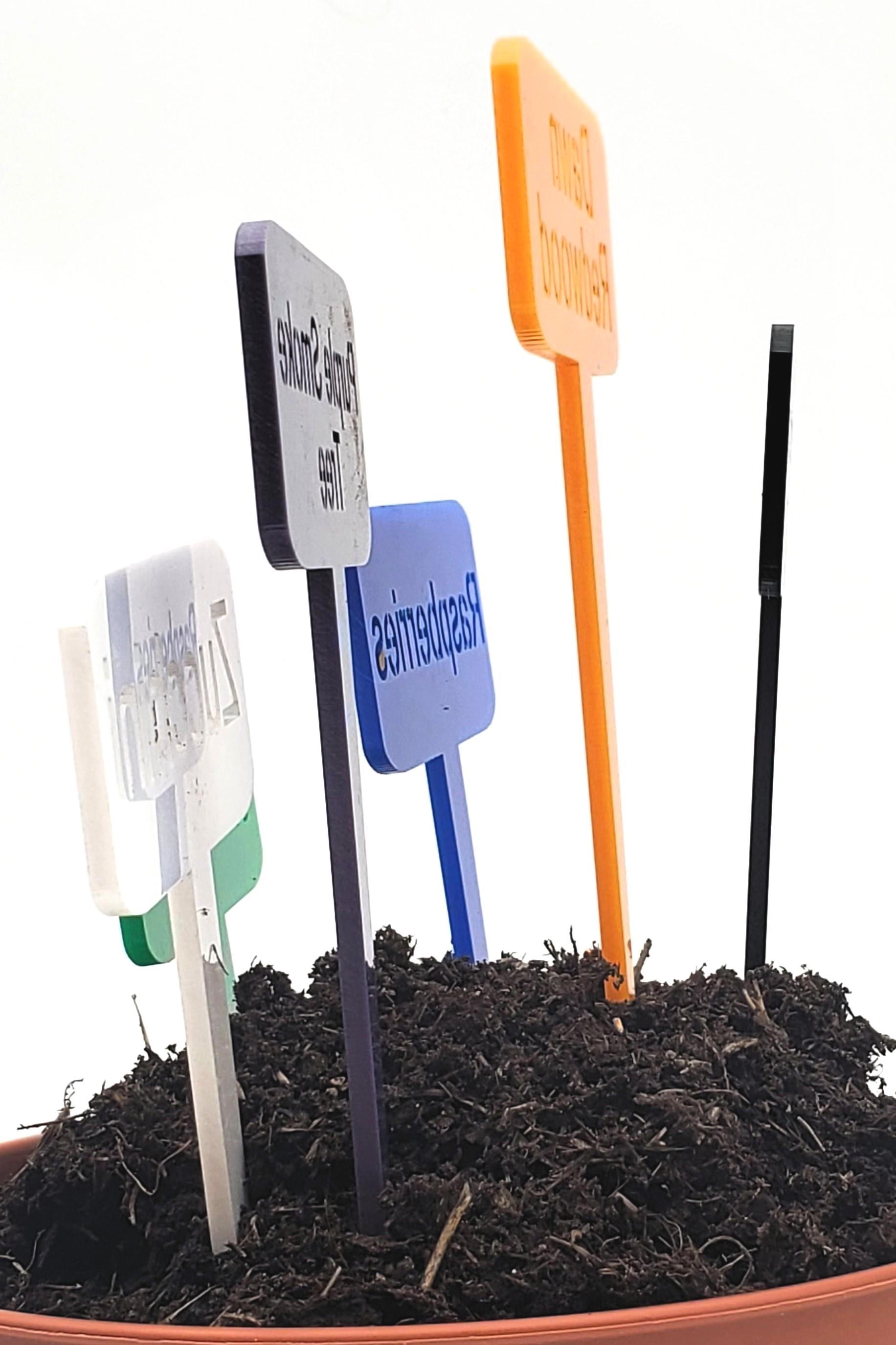 Custom Acrylic Plant Markers: Laser Cut Garden Labels, Set of 3 - Etsy