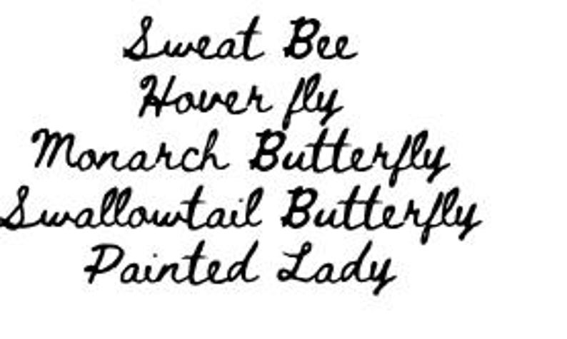 Pollinator Garden Word Search - Garden Variety Printable Puzzle ...