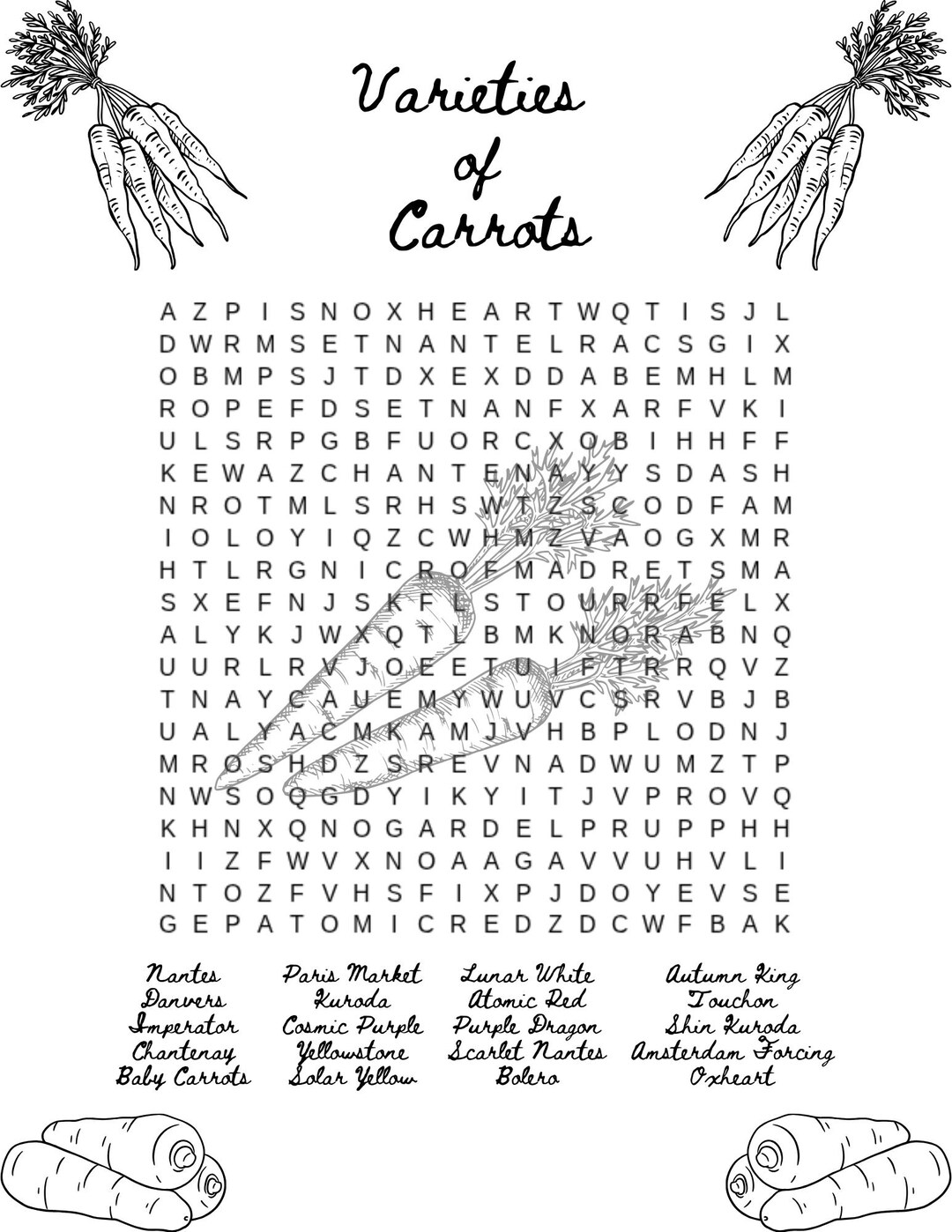 Varieties of Carrots Word Search - Instant Download PDF - Garden ...
