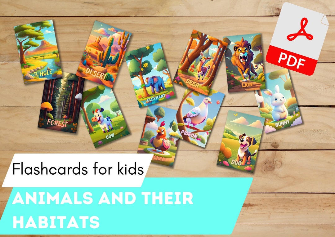 ANIMAL FLASHCARDS 24 Editable Flashcards for Kids PDF - Etsy