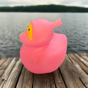 Ninja Shadow Hugger Rubber Duck Cruise Ducks Kid Bath Toy Stress Relief ...