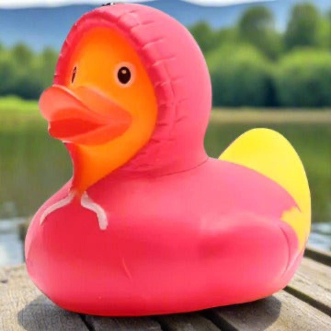 Hoodie Pink Rubber Duck Cruise Ducks Kids Bath Toy Stress Relief ...