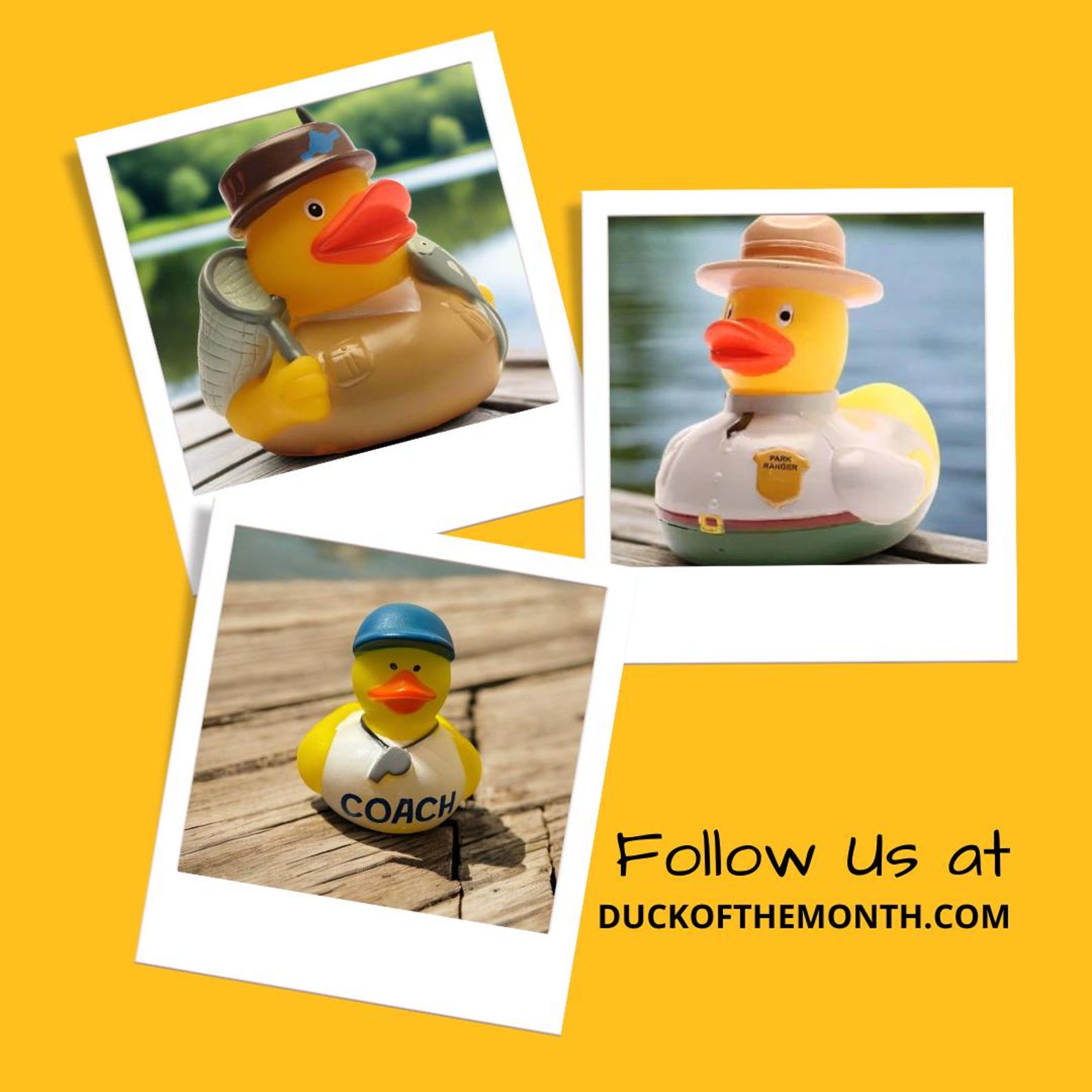 Cowboy Bandana Rubber Duck Cruise Ducks Kids Bath Toy Stress Relief ...