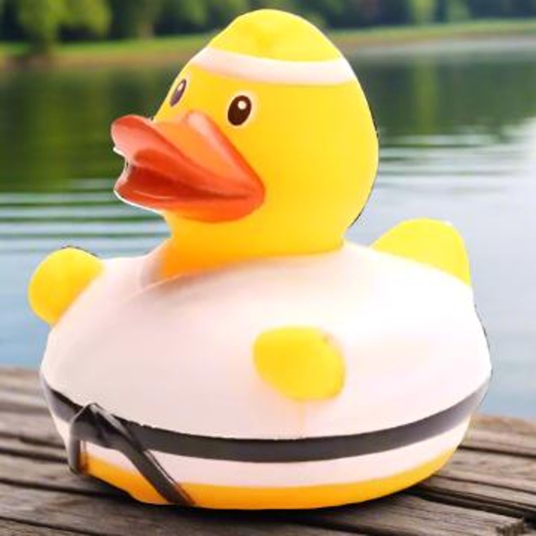 Karate Master Rubber Duck Cruise Ducks Kids Bath Toy Stress Relief ...