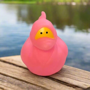 Ninja Shadow Hugger Rubber Duck Cruise Ducks Kid Bath Toy Stress Relief ...