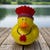 Fall Leaf Autumn Green Rubber Duck Cruise Ducks Kids Bath Toy Stress ...
