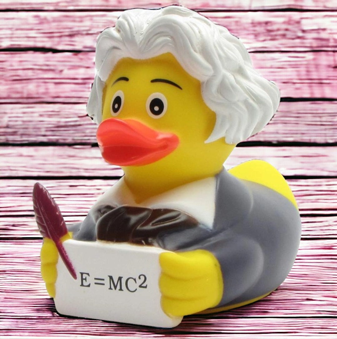 Einstein Rubber Duck, Ducky, Cruise Ducks, Kids Toys, Collectible - Etsy