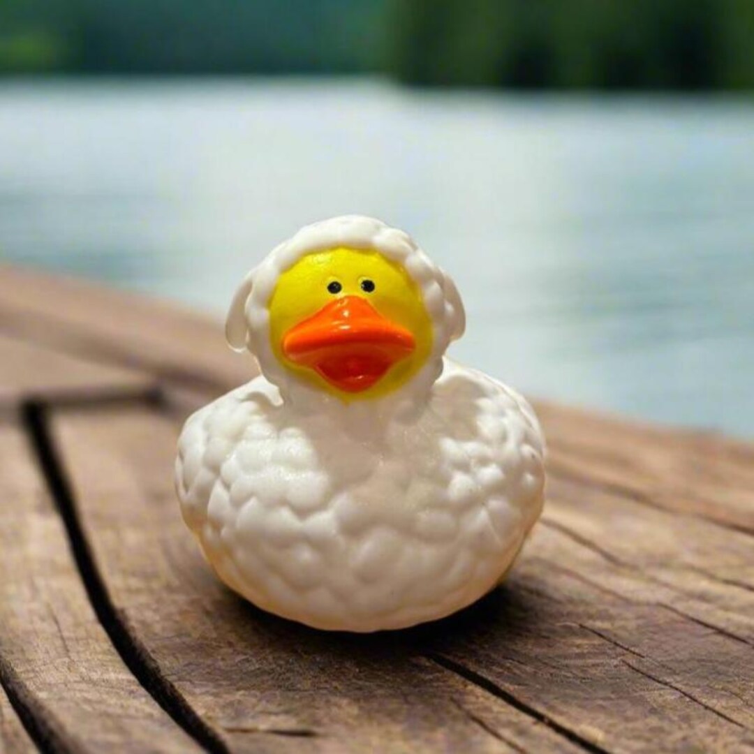Woolly stores Sheep Rubber Duck Cruise Ducks