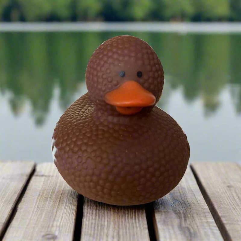 Personalized Rubber Ducks - Etsy