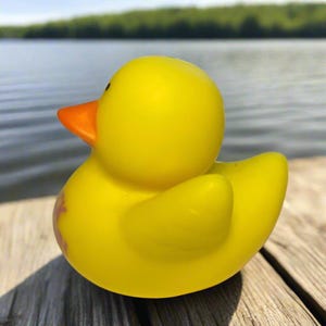 Inspirational Quacktacular Rubber Duck Cruise Ducks Kids Bath Toy ...