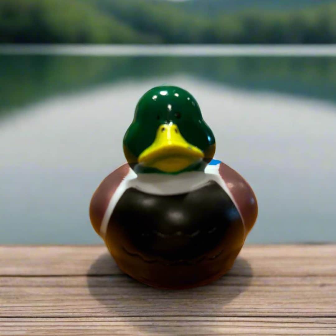 Drake Rubber Ducky Cruise Ducks Kids Bath Toys Stress Relief Debugging ...