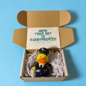 Pilot Rubber Duck Cruise Ducks Kids Bath Toy Stress Relief Debugging ...