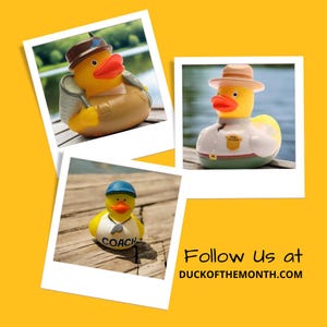 Lapped Flag Checker Rubber Duck Cruise Ducks Kids Bath Toy Stress ...