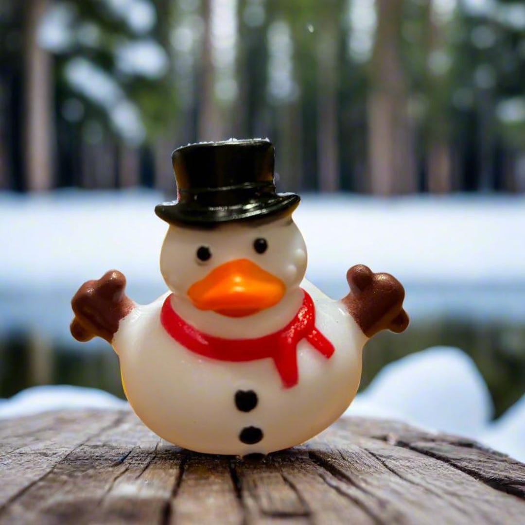 Snowman Rubber Duck Cruise Ducks Kids Bath Toy Stress Relief Debugging ...