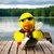 BULK Intelligence Officer Rubber Duck OVERSTOCK Cruise Ducks Kids Bath ...