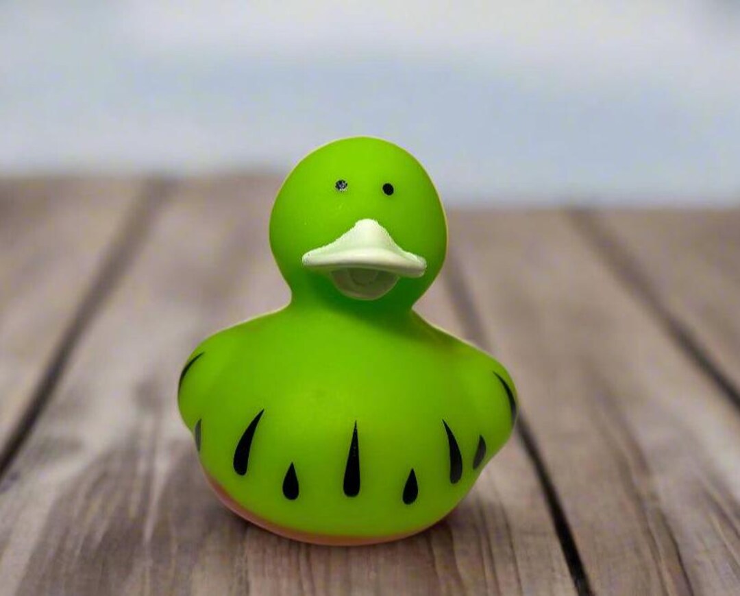 Kiwi Rubber Duck Cruise Duck Kid Bath Toy Stress Relief Debugging ...