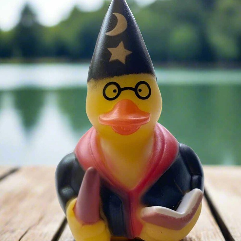 Duck Dnd Dice - Etsy