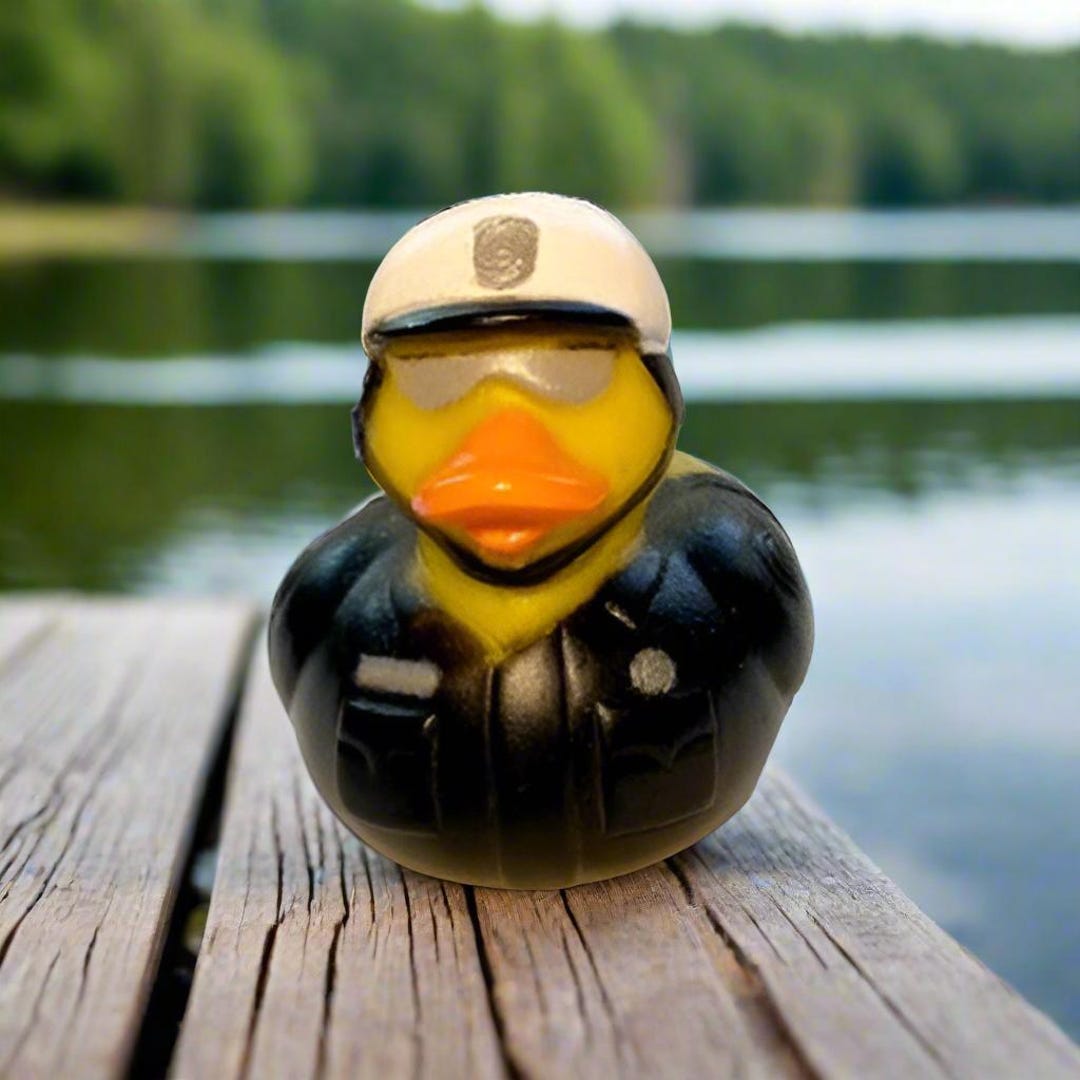 Officer Patrol Rubber Duck Cruise Ducks Kids Bath Toy Stress Relief ...