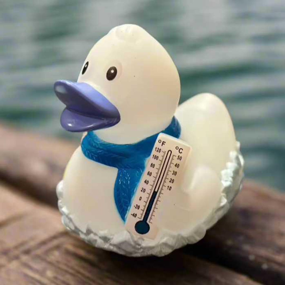Frosty Rubber Duck Cruise Ducks Kids Bath Toy Stress Relief Debugging ...