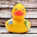 Toothbrush Rubber Duck, Ducky, Cruise Ducks, Kids Toys, Collectible - Etsy