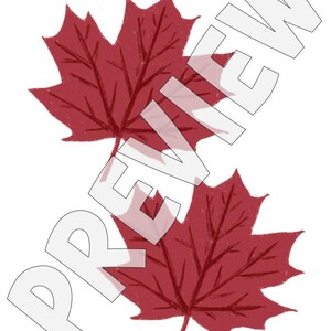 Fall in Love With a Good Book Bulletin Board Kit Fall Autumn Classroom ...