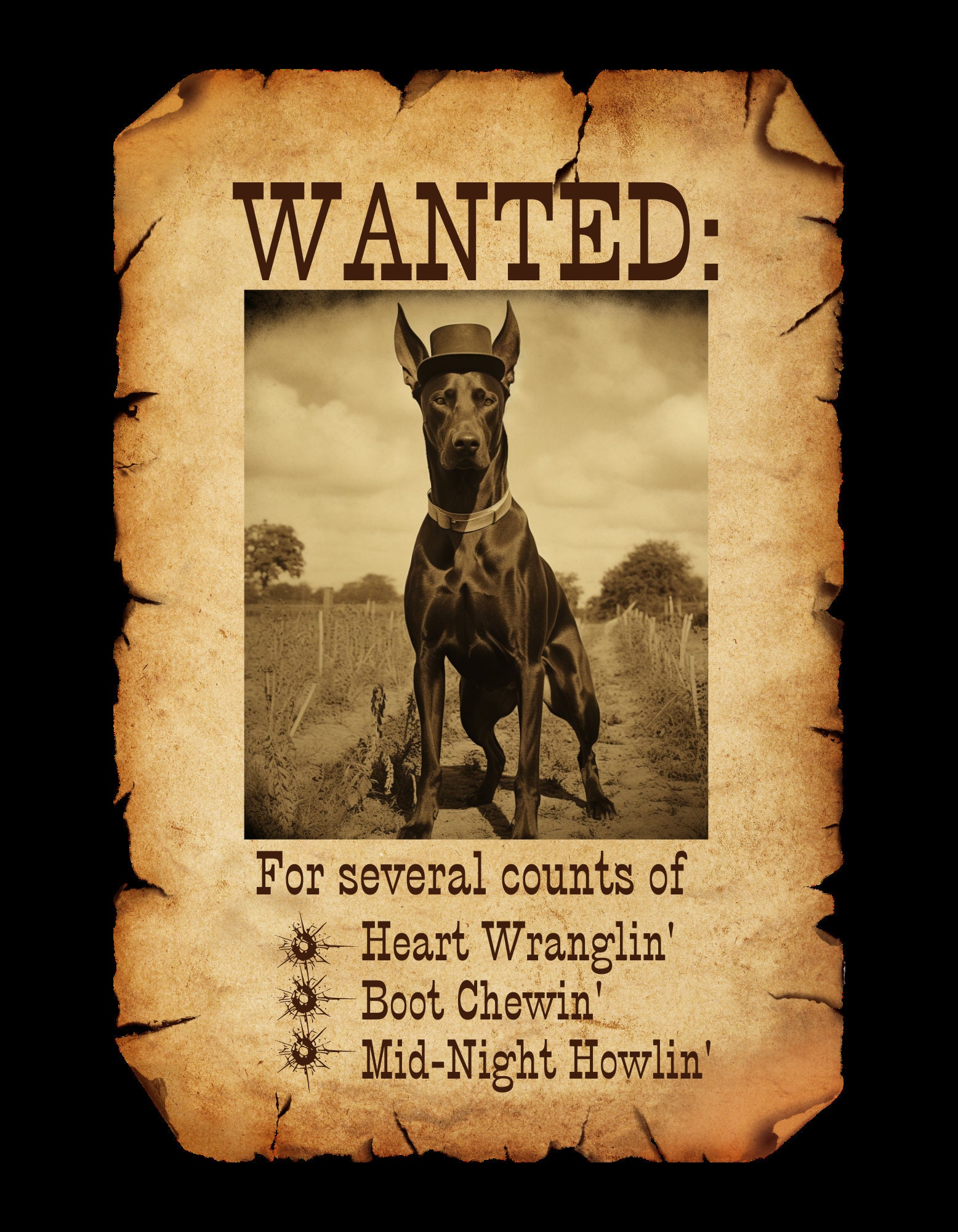 Cowboy Doberman Western Style Cactuscore Tshirt, Funny Cute Dog ...