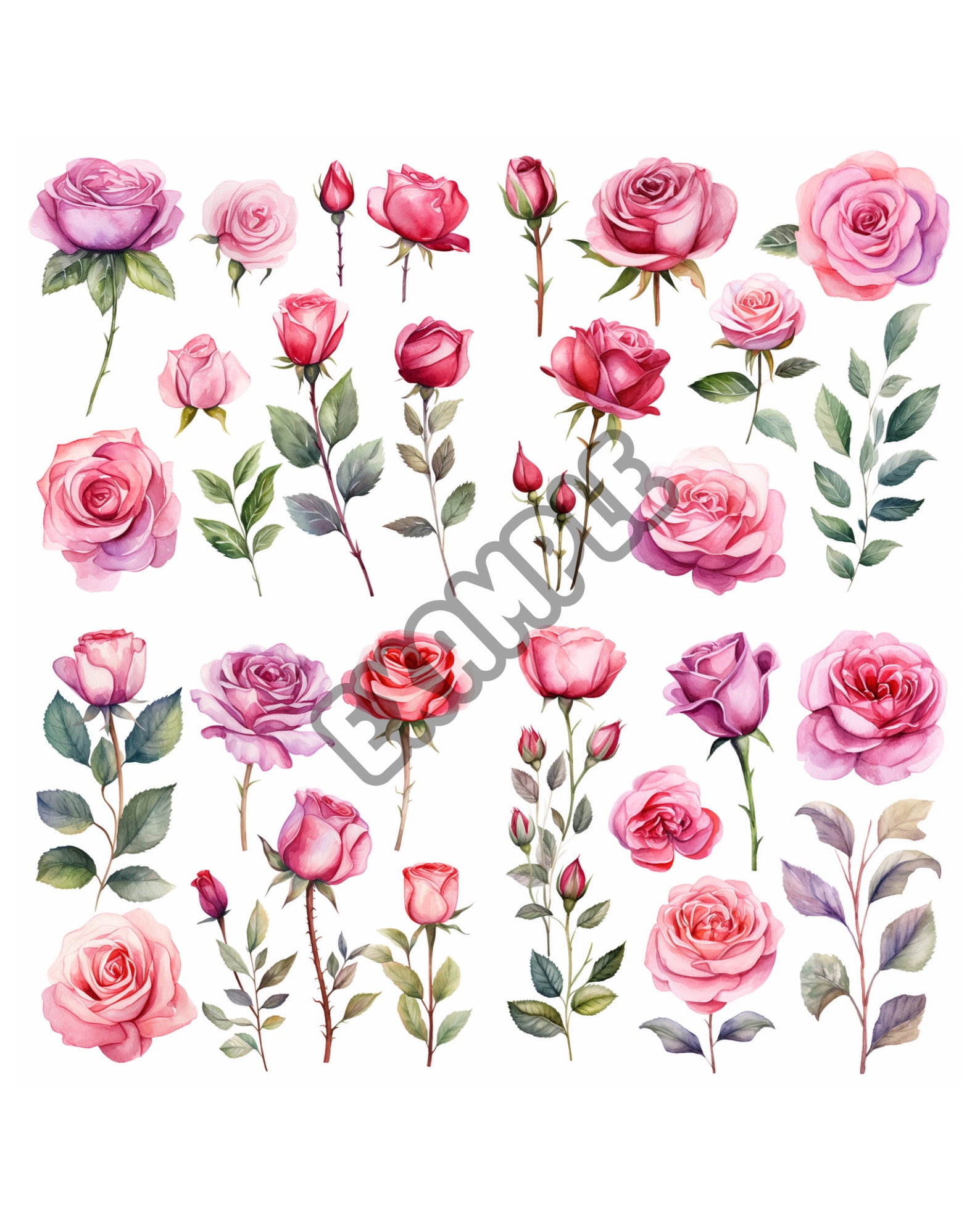 Watercolor Rose Clipart Bundle, Watercolor Clipart , Clipart , Pastel ...