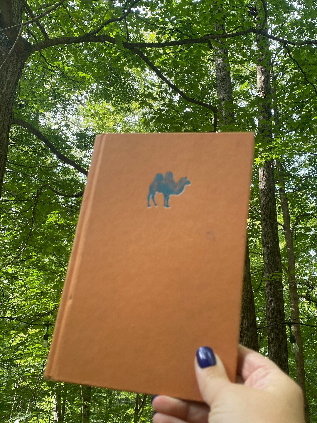 Season of the Sandstorms Magic Tree House by Mary Pope Osborne ...