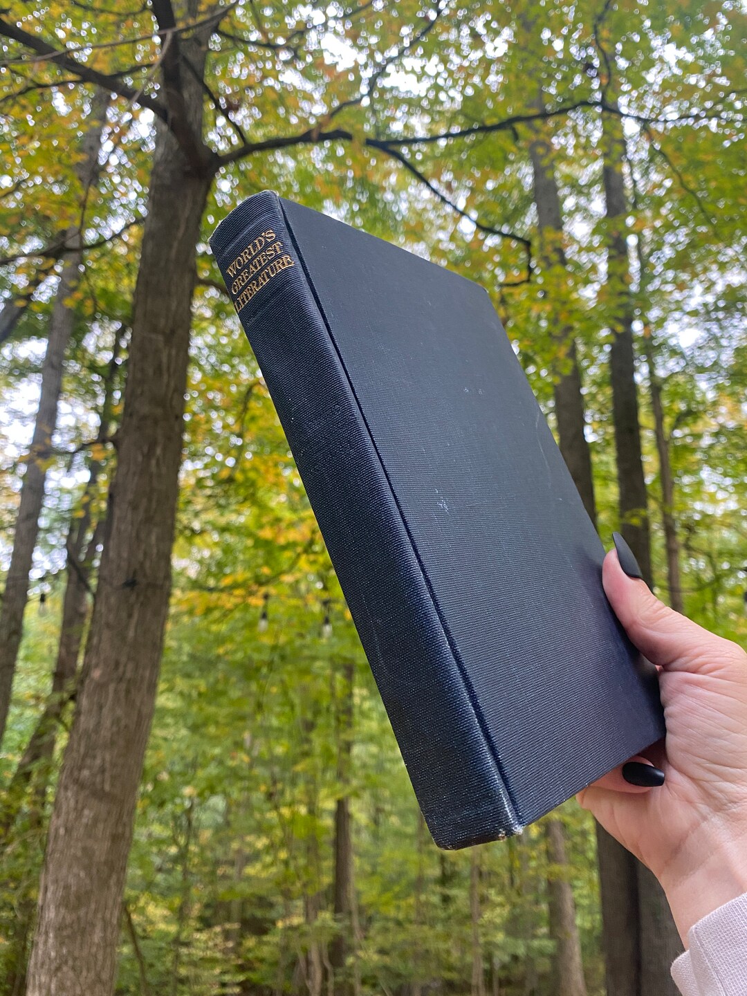 World's Greatest Literature Hardcover Vintage Black Book 1900s Oedipus ...
