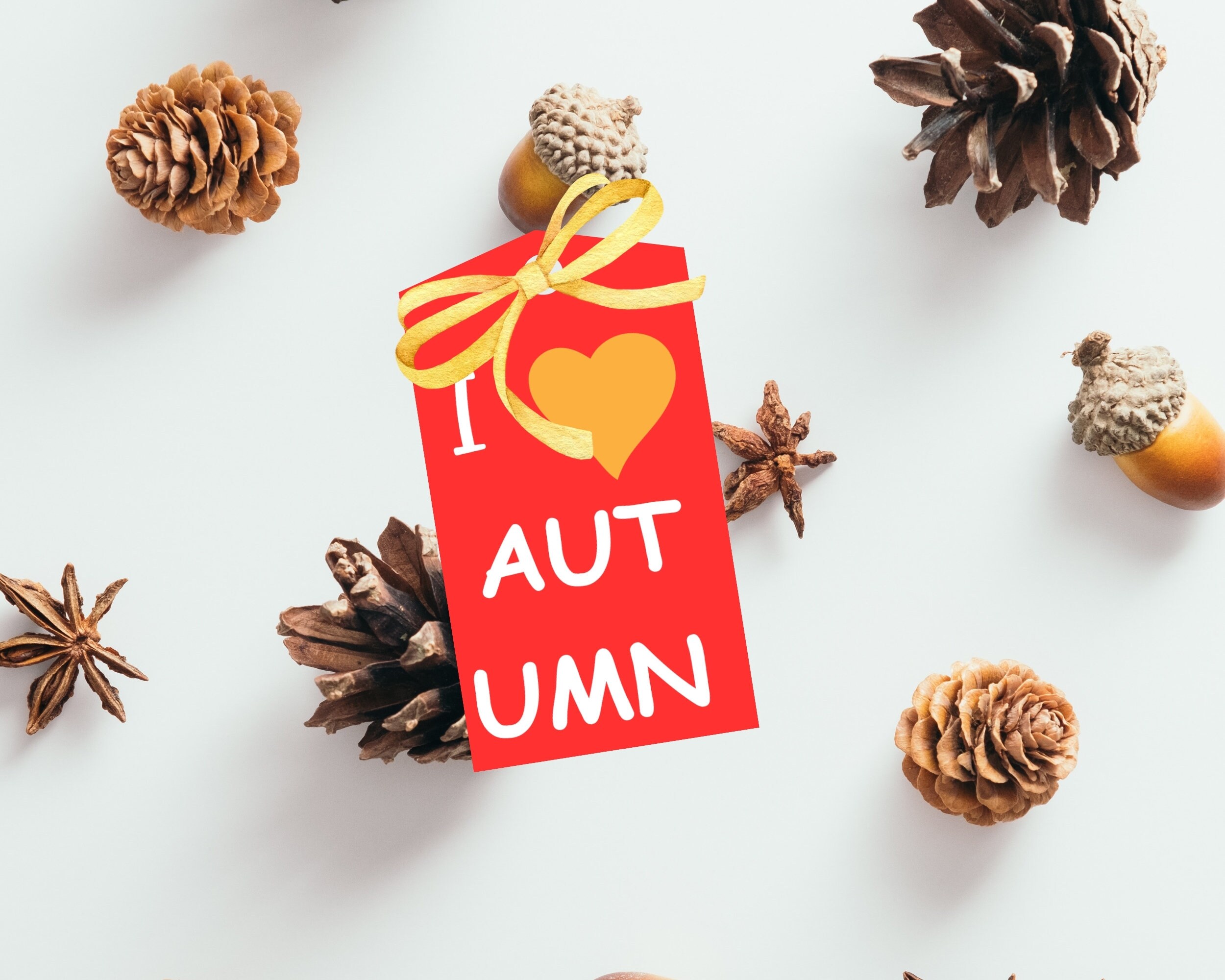 Fall Gift Tags Printable Fall Favor Tags Autumn Gift Tags - Etsy