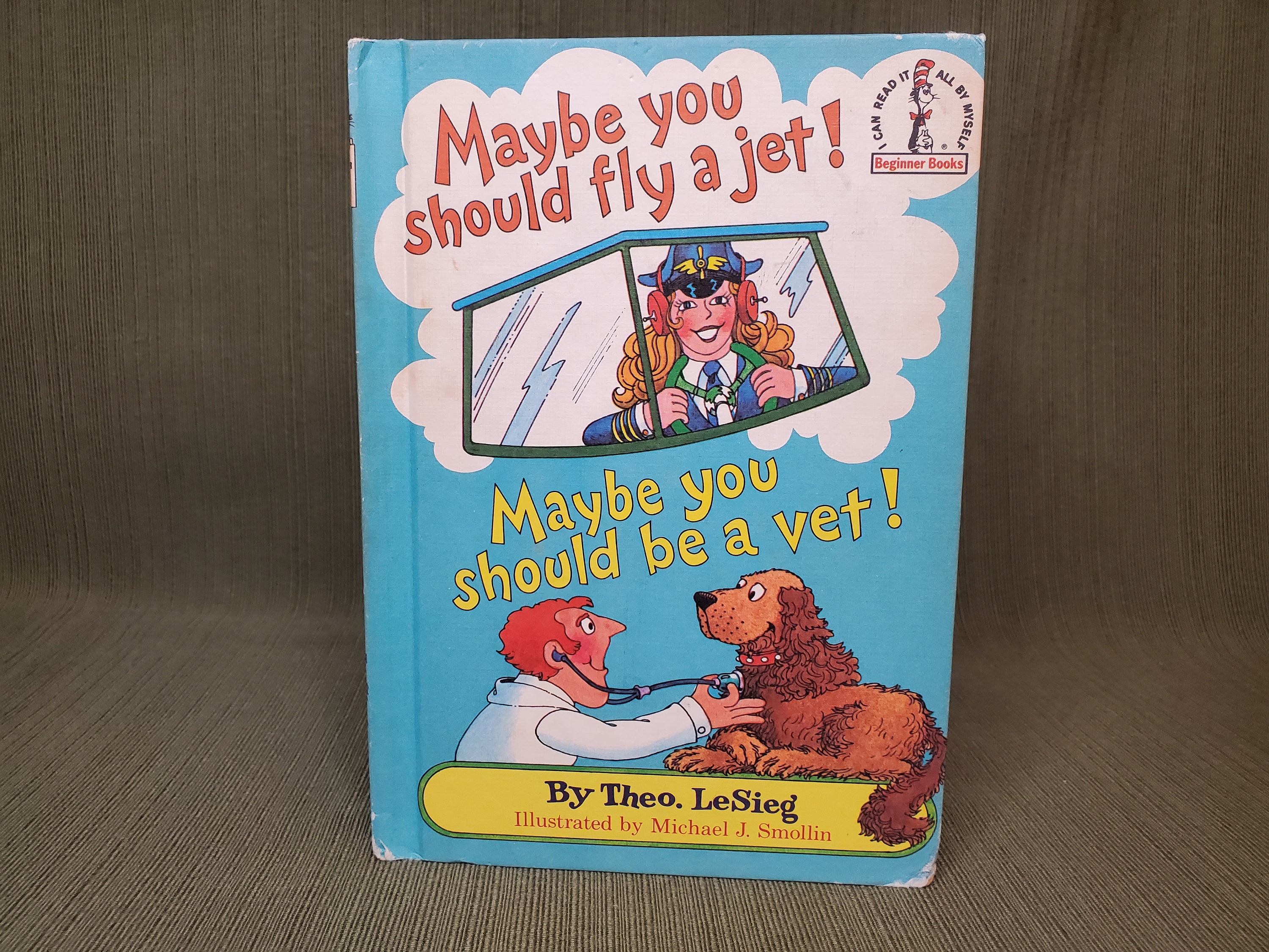 1980 1st Edition Dr Seuss Maybe You Should Fly a Jet Maybe You Should ...