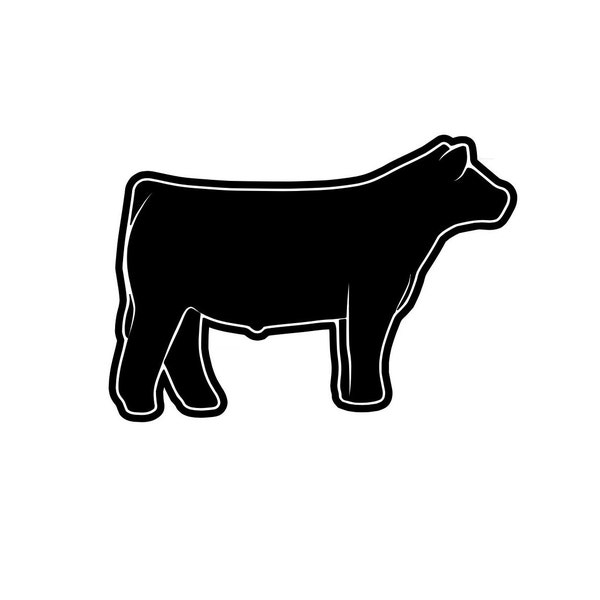 Show Steer - Etsy