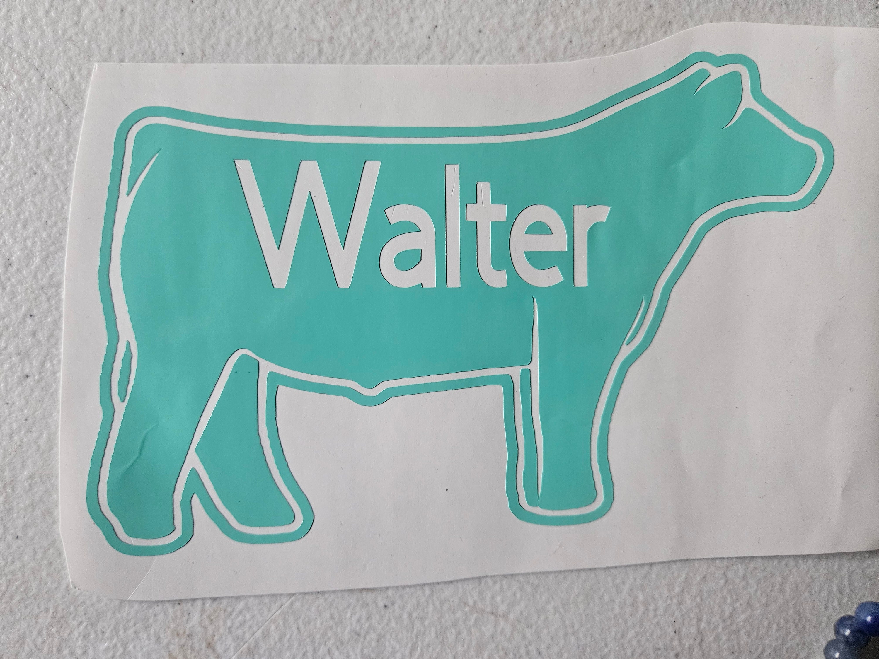 Show Steer-jackpot Steer-vinyl Decal-name Decal-personalized Decal ...