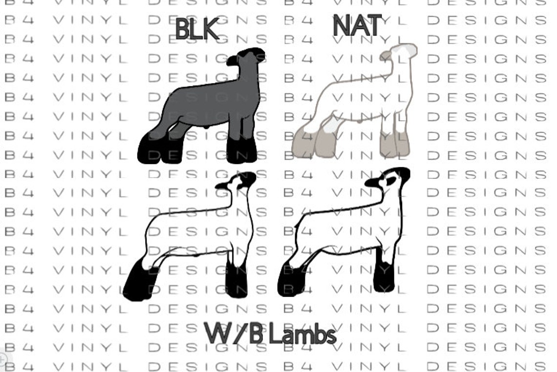 Full Color Show Lamb-waterproof Show Lamb-show Ewe-show Wether-tack Box ...