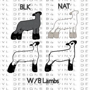 Full Color Show Lamb-waterproof Show Lamb-show Ewe-show Wether-tack Box ...