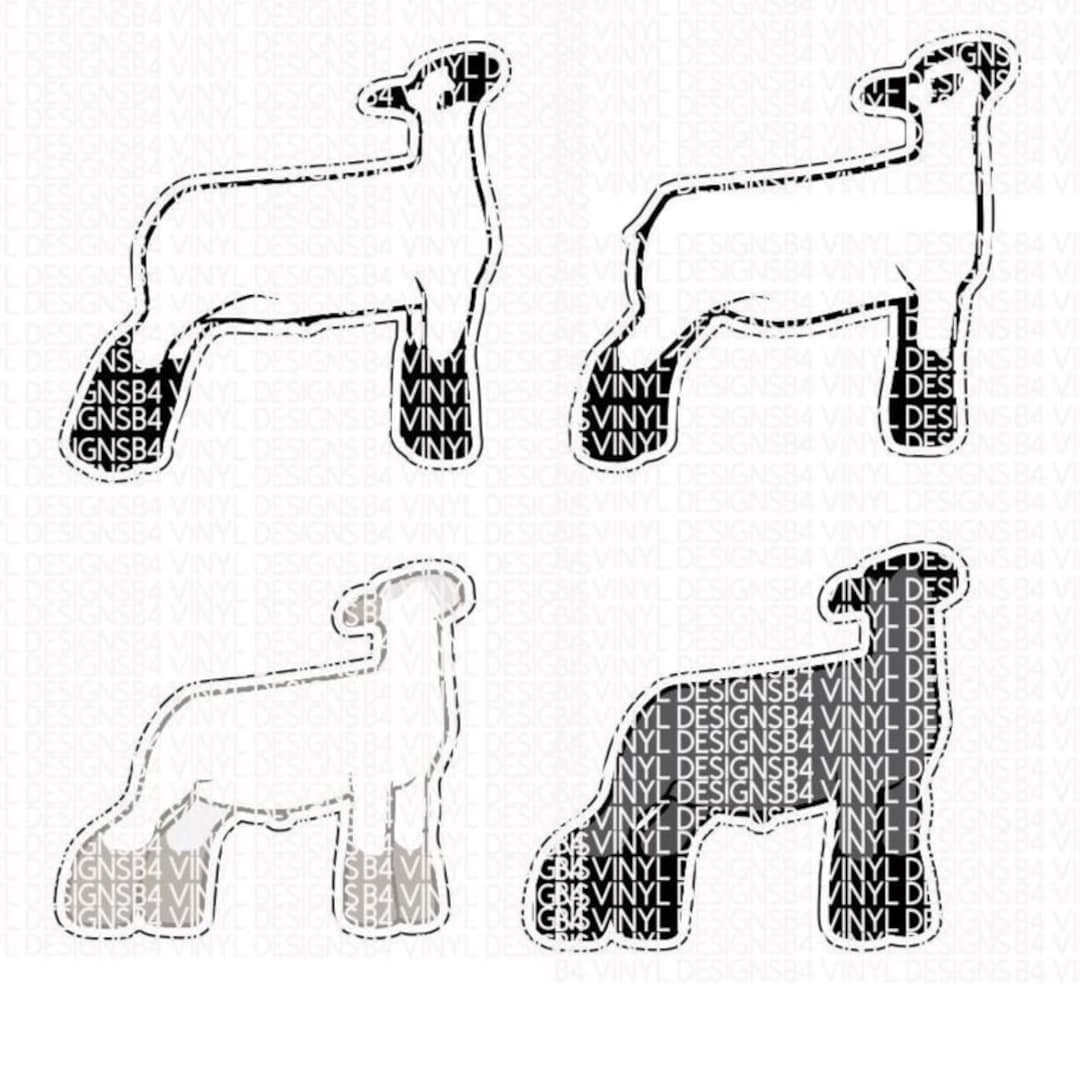 Full Color Show Lamb-waterproof Show Lamb-show Ewe-show Wether-tack Box ...