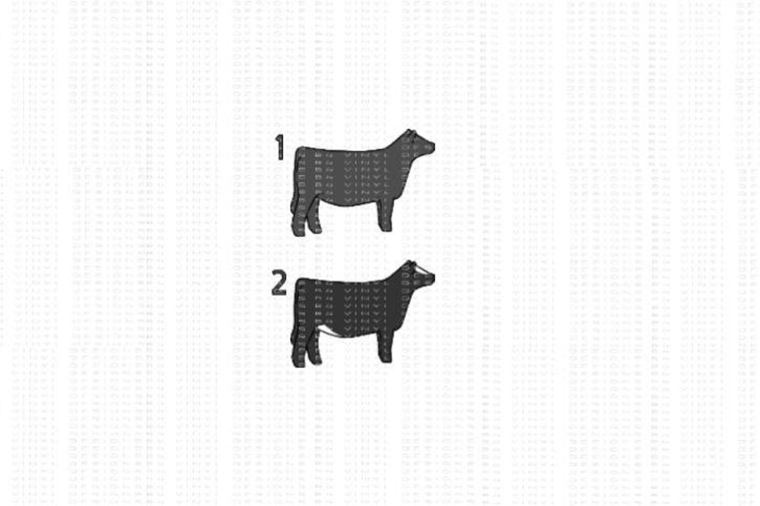 Full Color Heifer Cattle Stickers- Cattle Stickers- Heifer Stickers ...