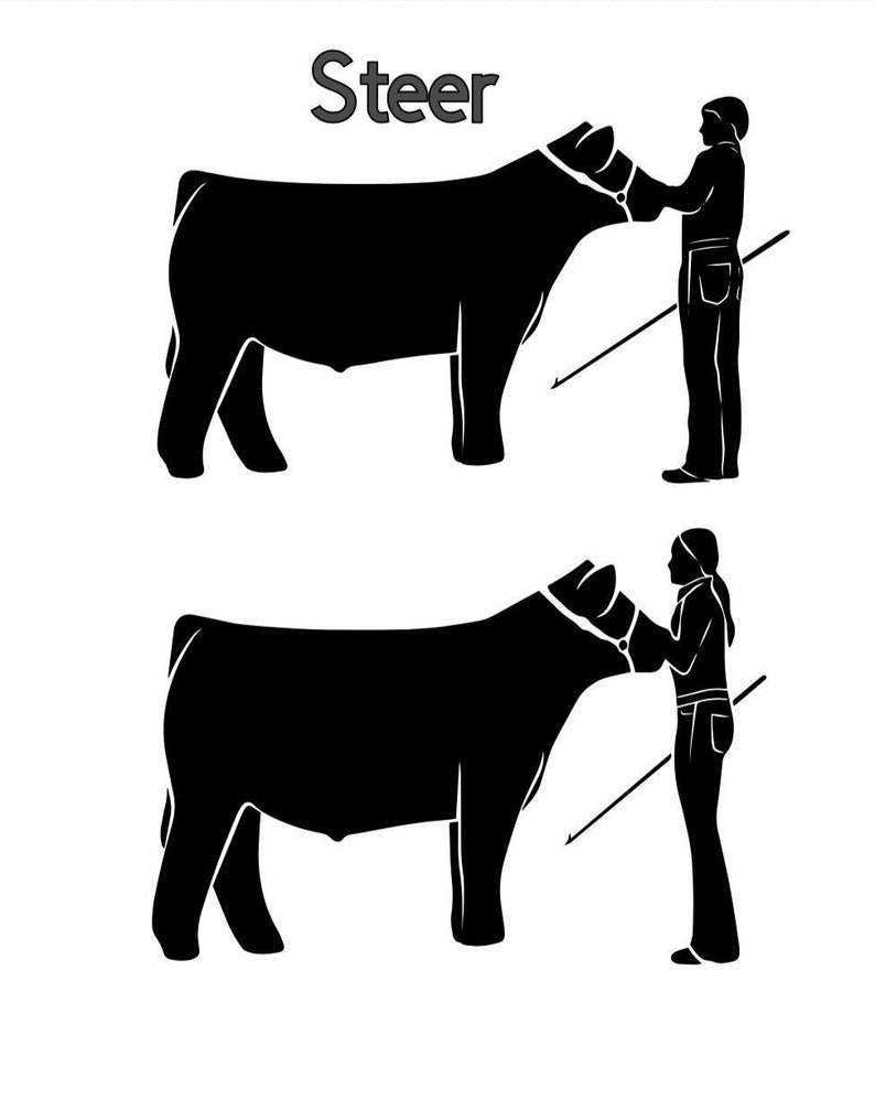 American Flag With Showmen Pig Showmanship-cattle Showmanship-lamb ...