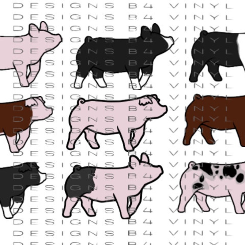 Show Pig Svg - Etsy