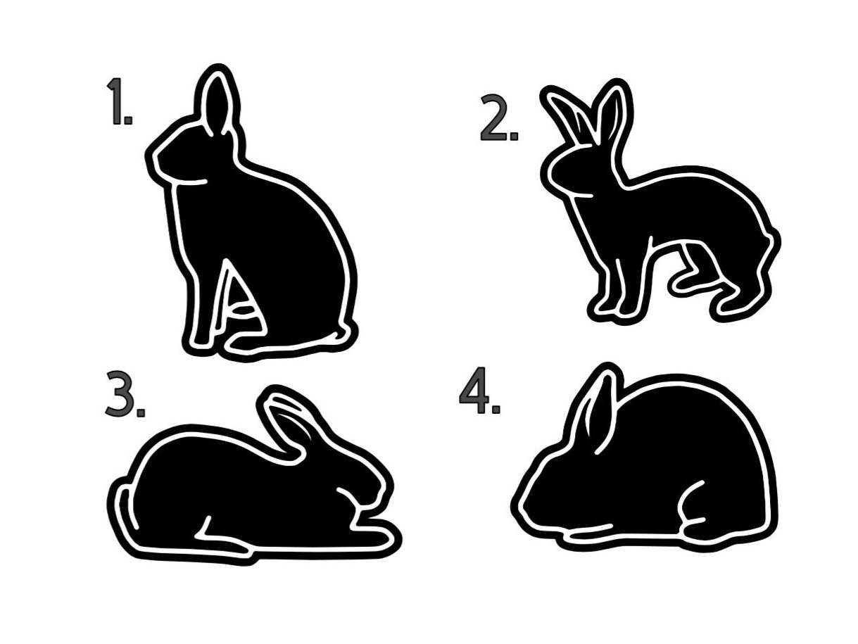Show Rabbits-rabbits-pet Bunny-bunny-name Decal-personalized Decal ...