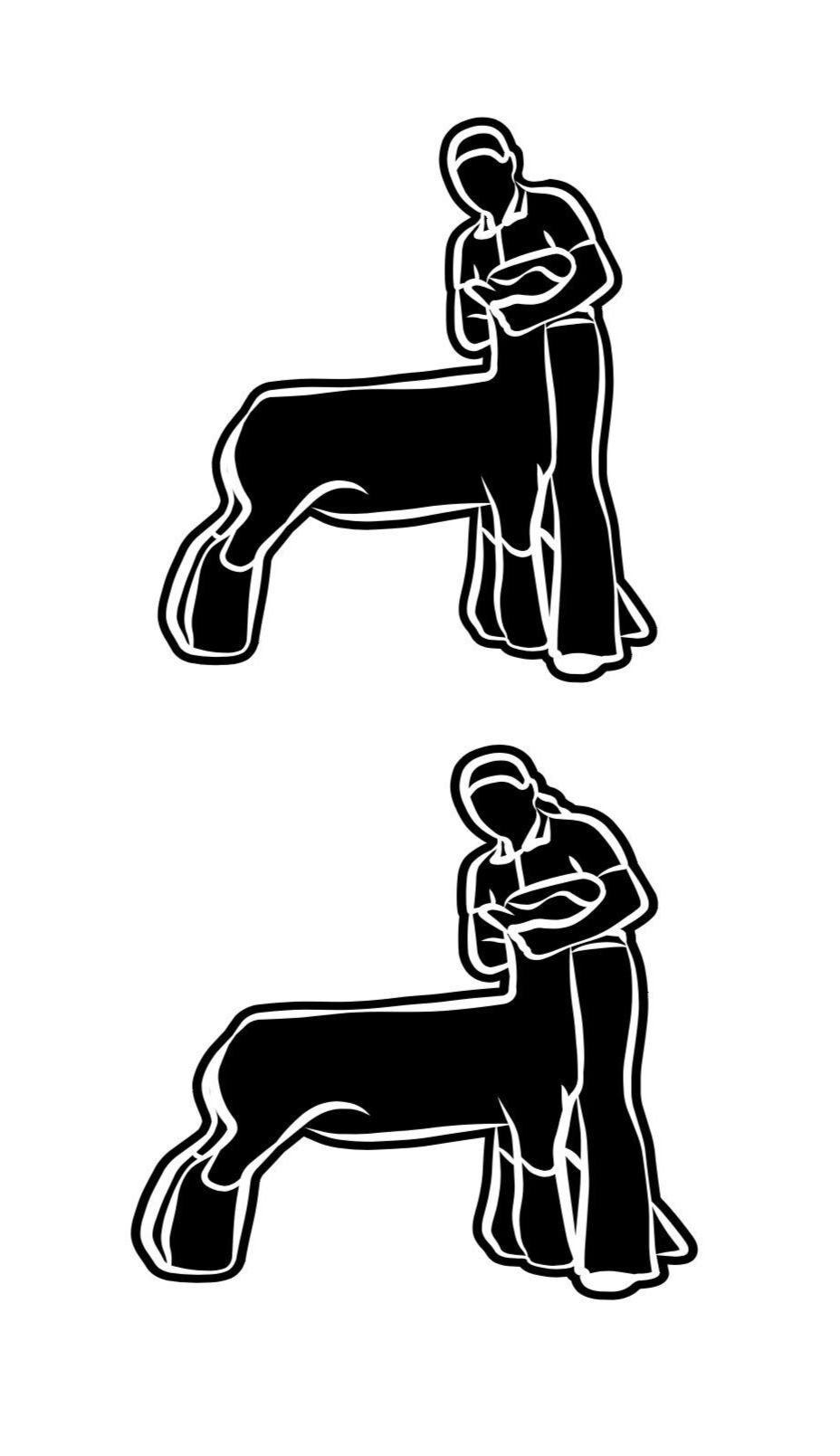 American Flag With Showmen Pig Showmanship-cattle Showmanship-lamb ...