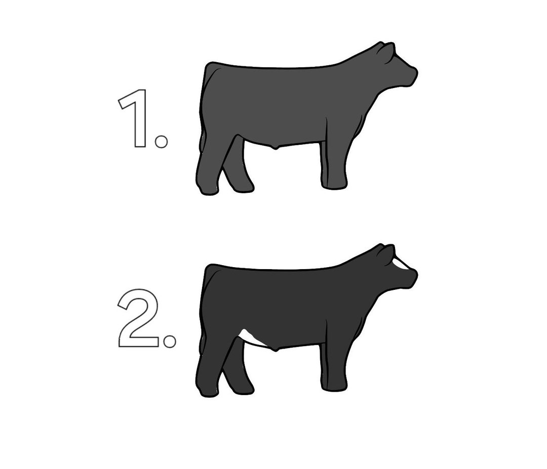 Full Color Steer Stickers, Full Cattle Sticker, Tack Box Stickers ...