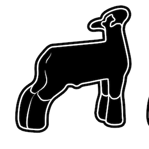 Show Lamb Jackpot Lamb Vinyl Decal-name Decal-personalized Decal Custom ...