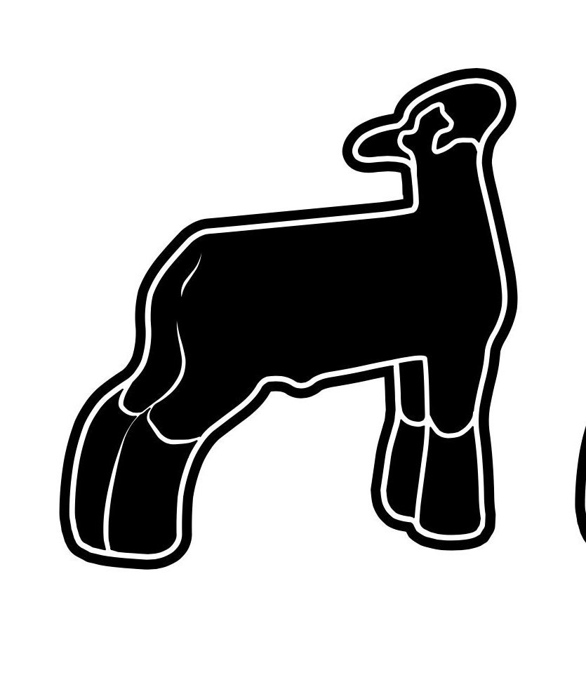 Show Lamb Jackpot Lamb Vinyl Decal-name Decal-personalized Decal Custom ...