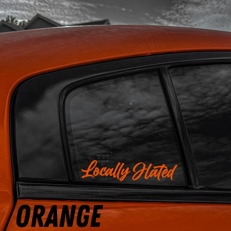 Locally Hated Car Decal | Car Sticker | Truck Decal | Laptop Sticker - Etsy