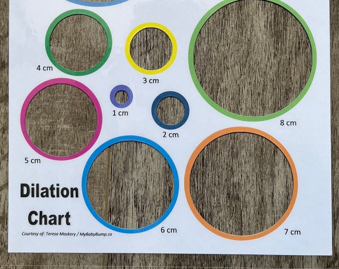 DILATION CHART 1-10cm Laminated With Cutouts (childbirth Educator Tools ...